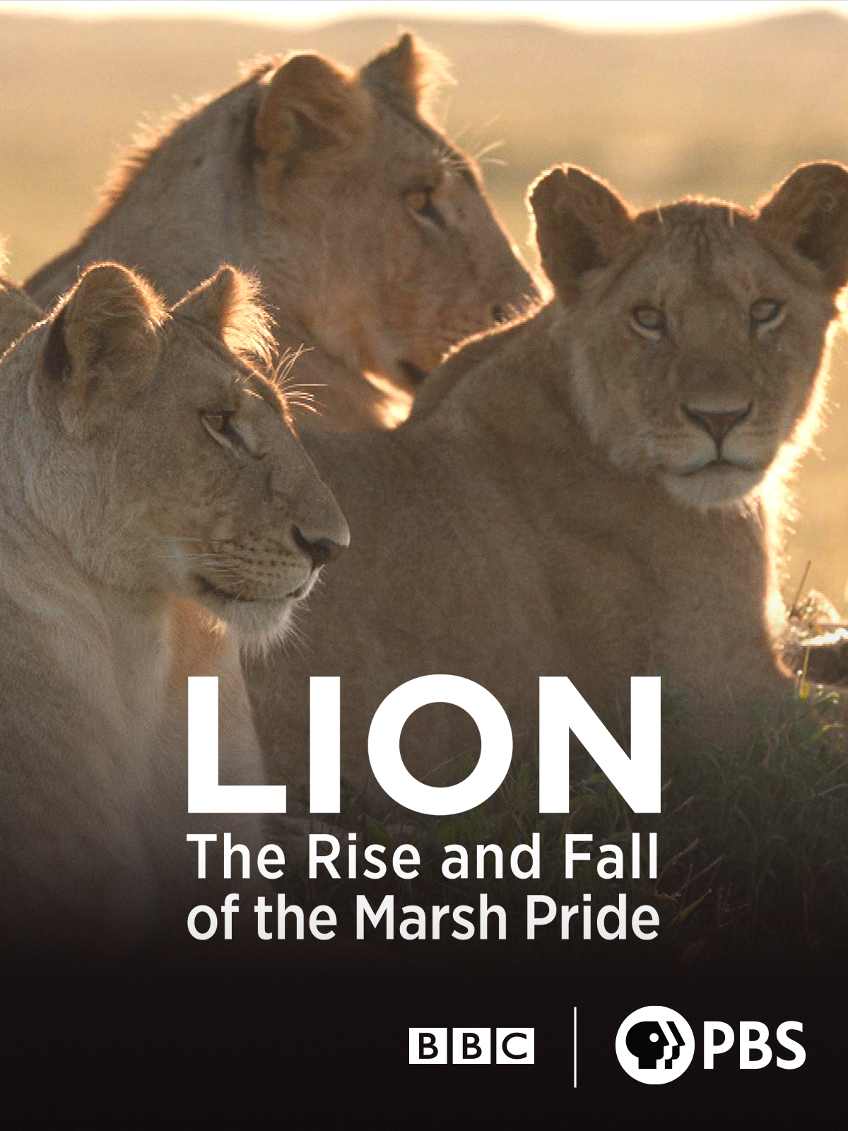 Prime Video: Lion: The Rise and Fall of the Marsh Pride