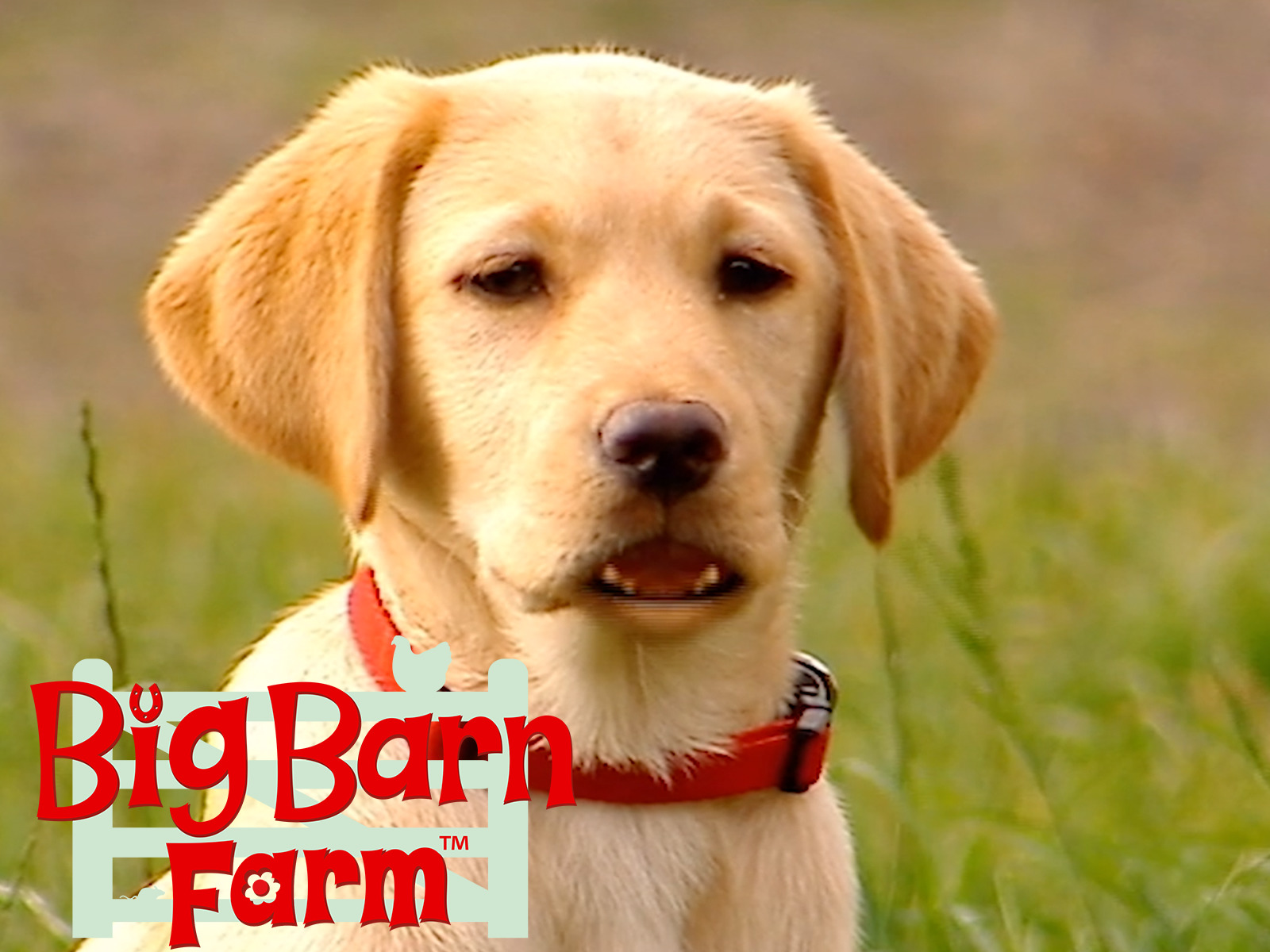 Prime Video: Big Barn Farm