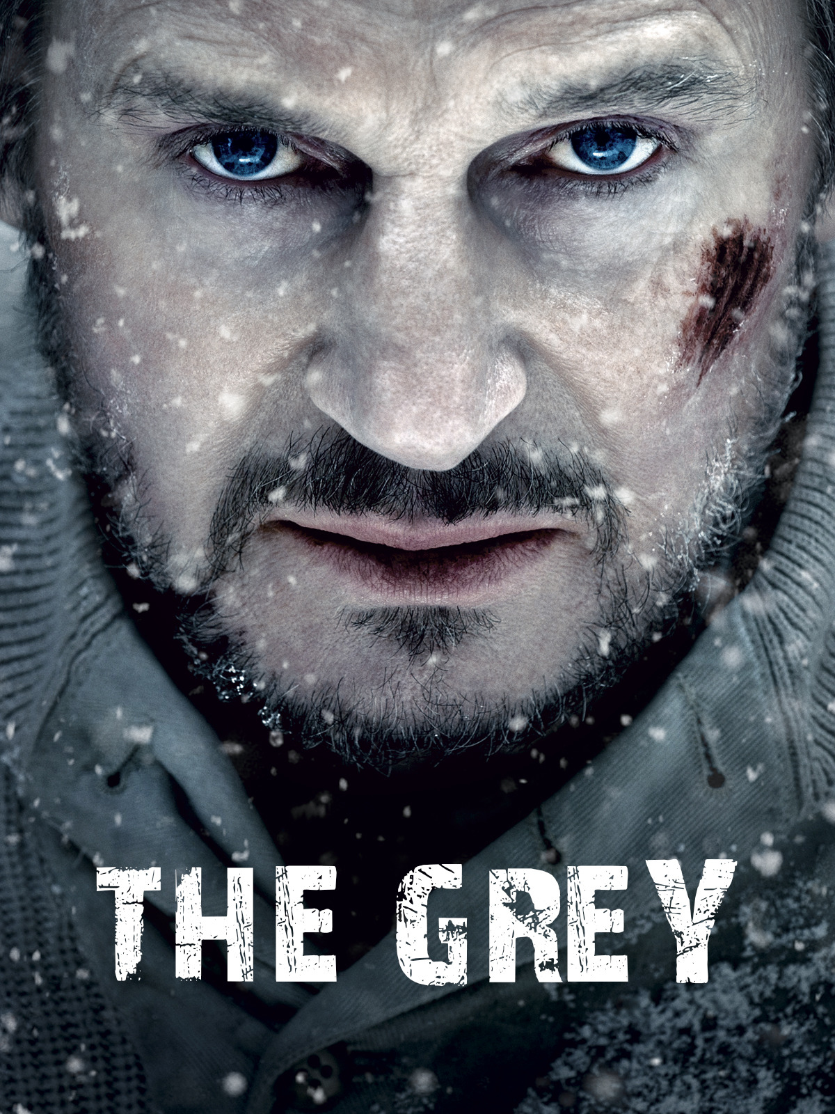 Prime Video: The Grey