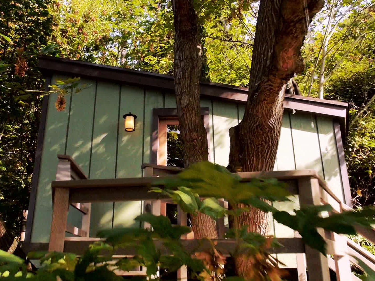 Prime Video: Treehouse Masters - Season 3