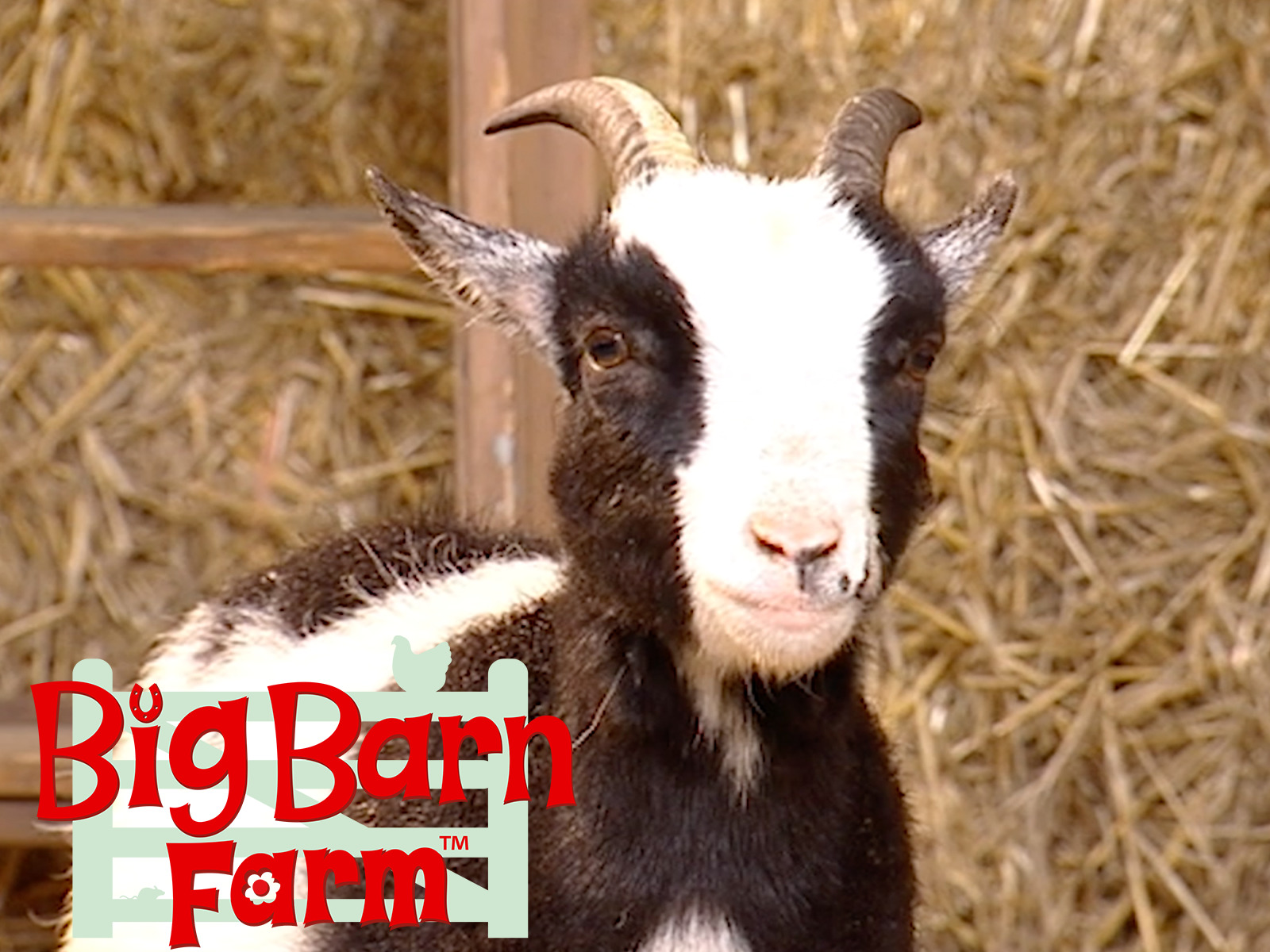 Prime Video: Big Barn Farm