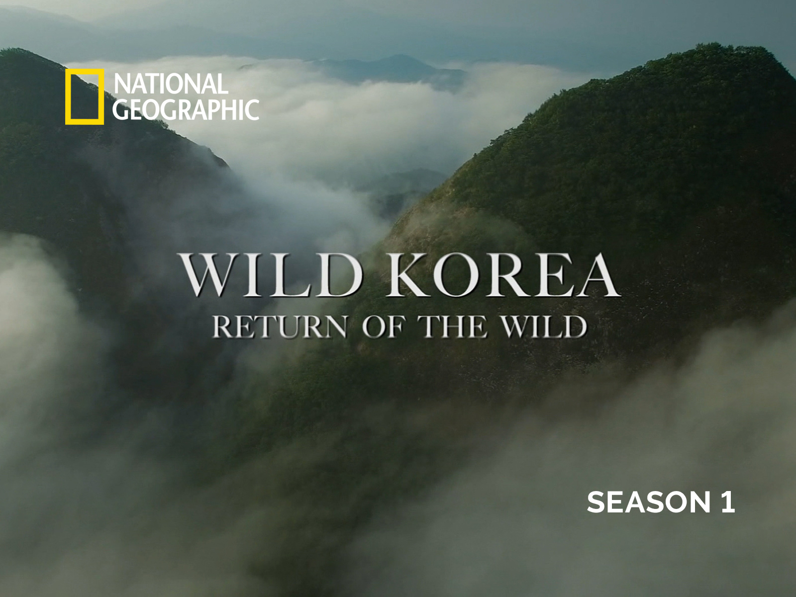 Prime Video: Wild Korea - Season 1