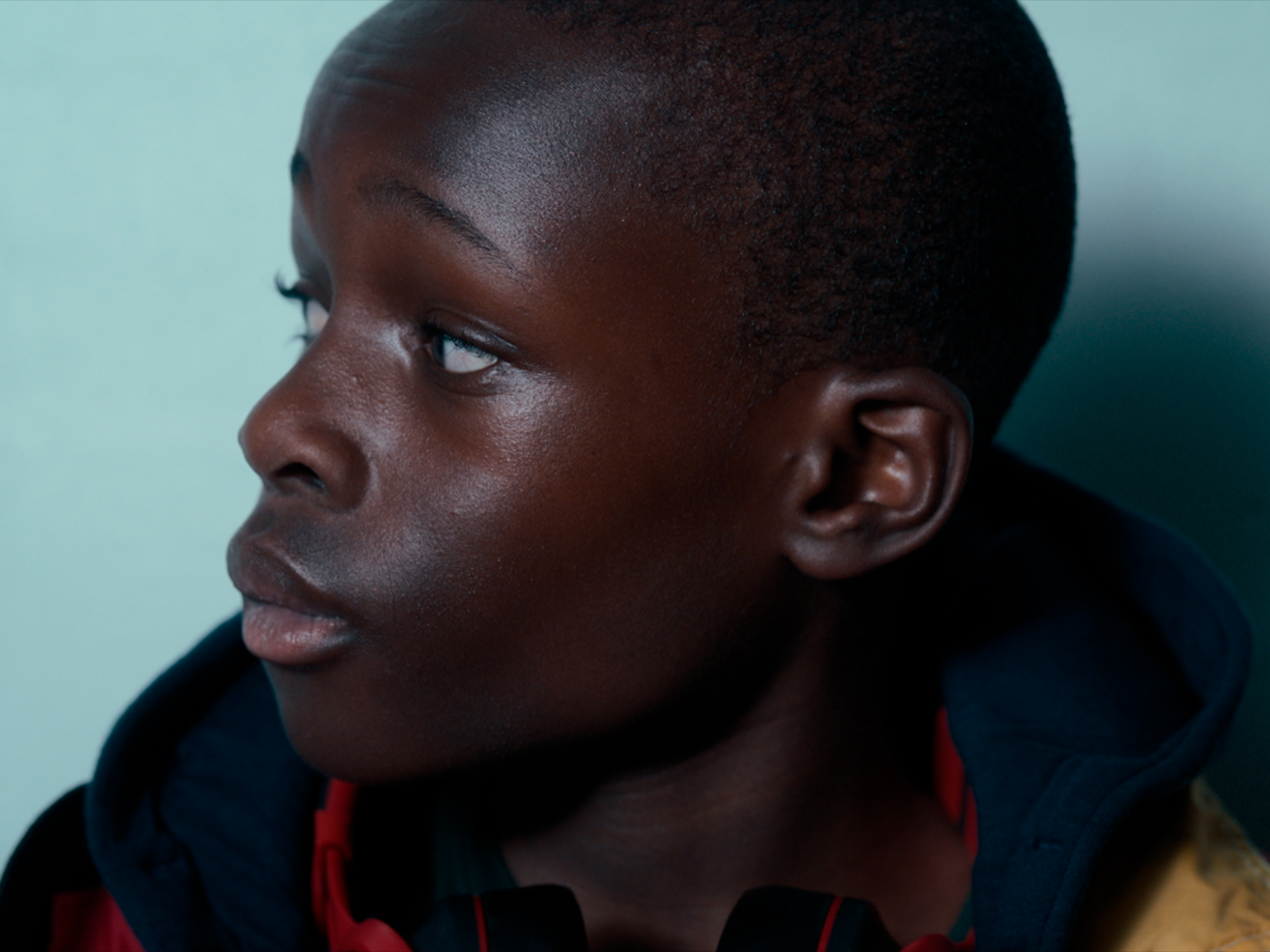 Prime Video: Jungle Season 1