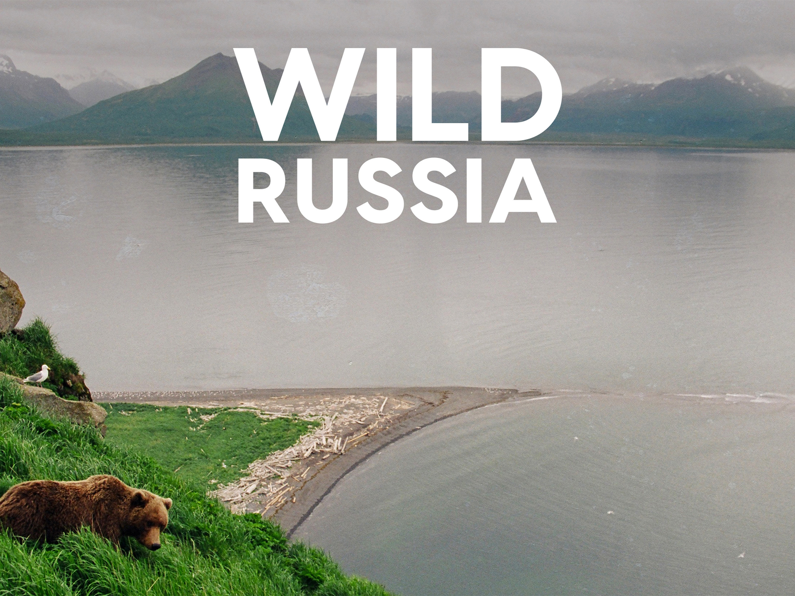 Prime Video: Wild Russia - Season 1
