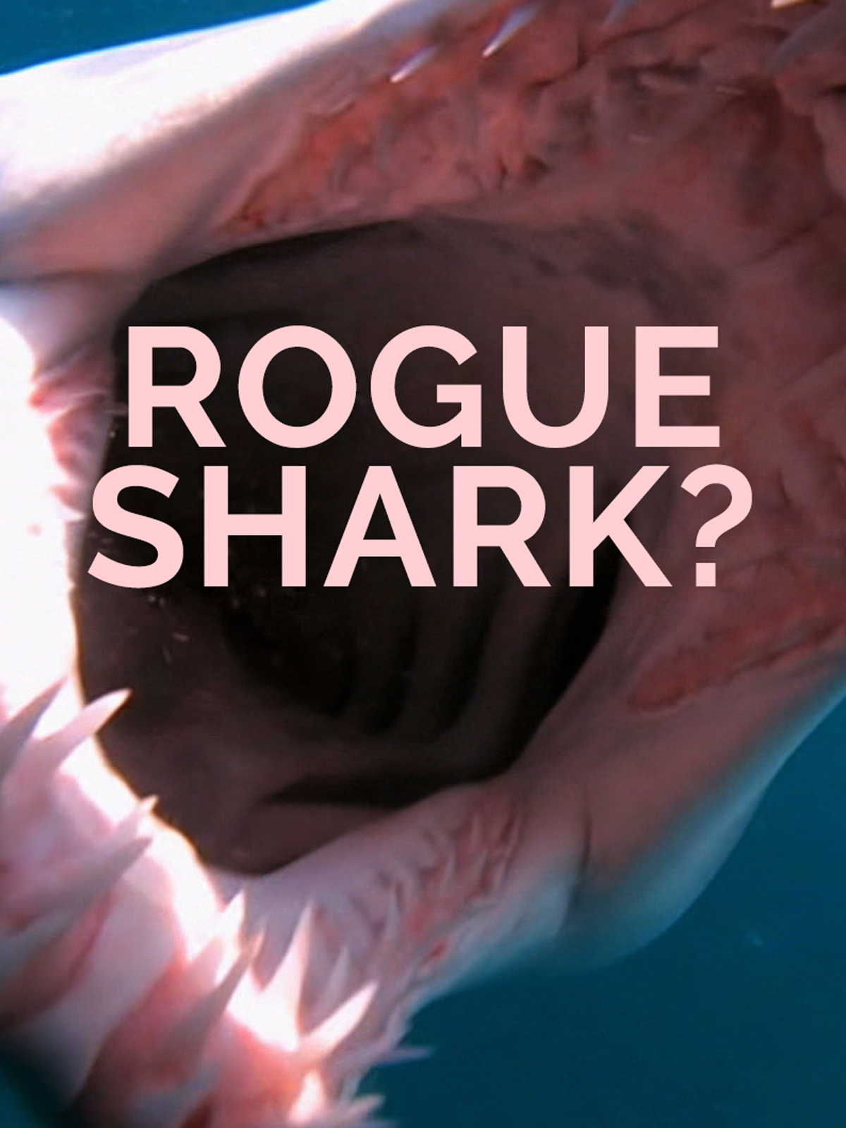 Prime Video: Rogue Shark?