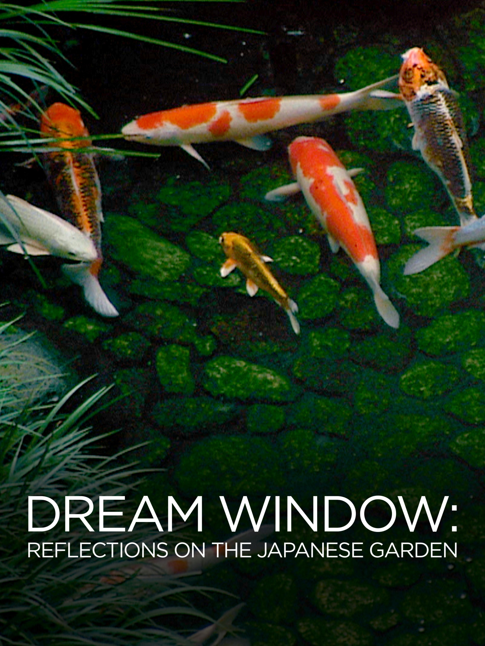 Prime Video: Dream Window