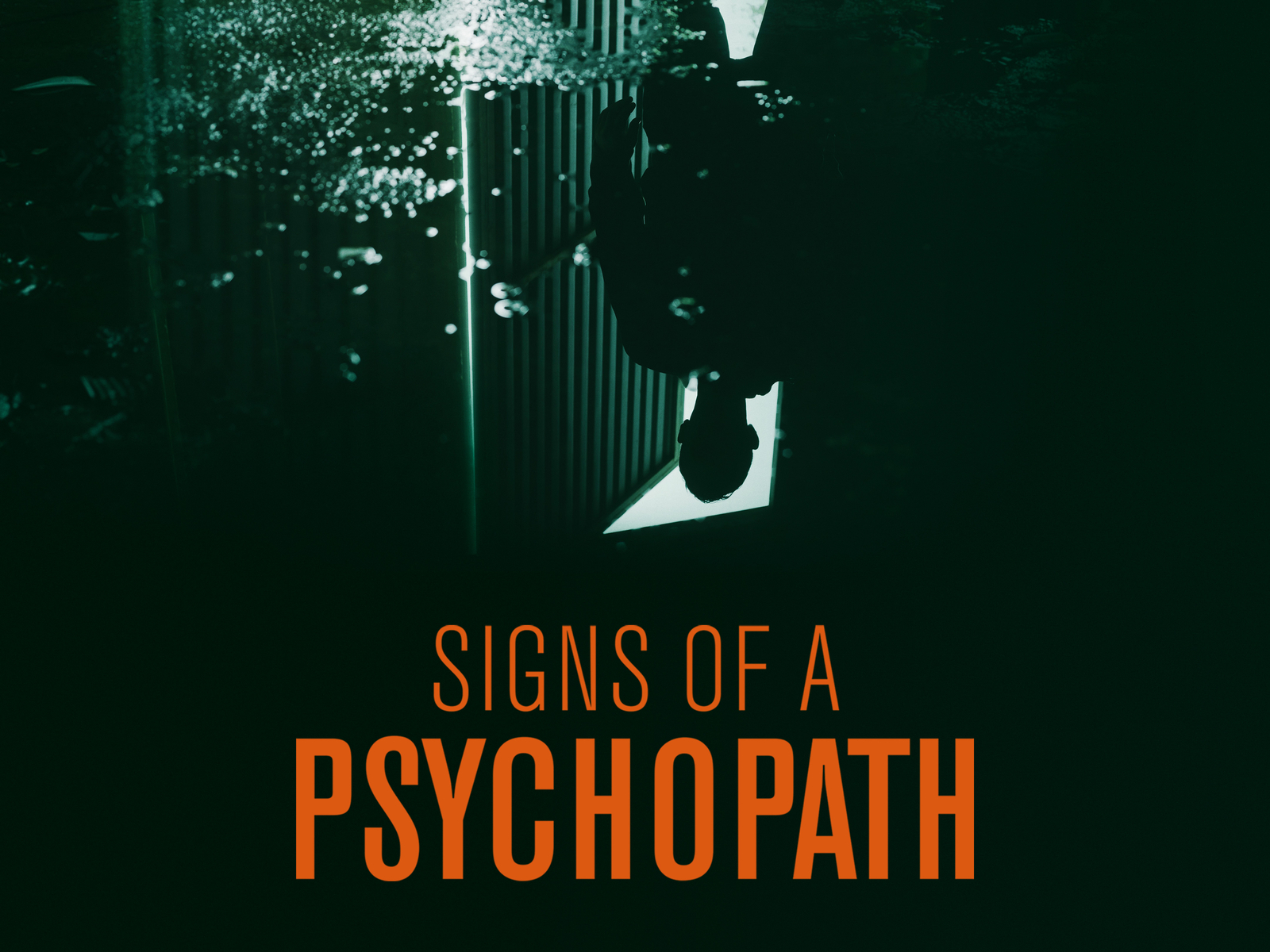 Prime Video: Signs Of A Psychopath - Season 2