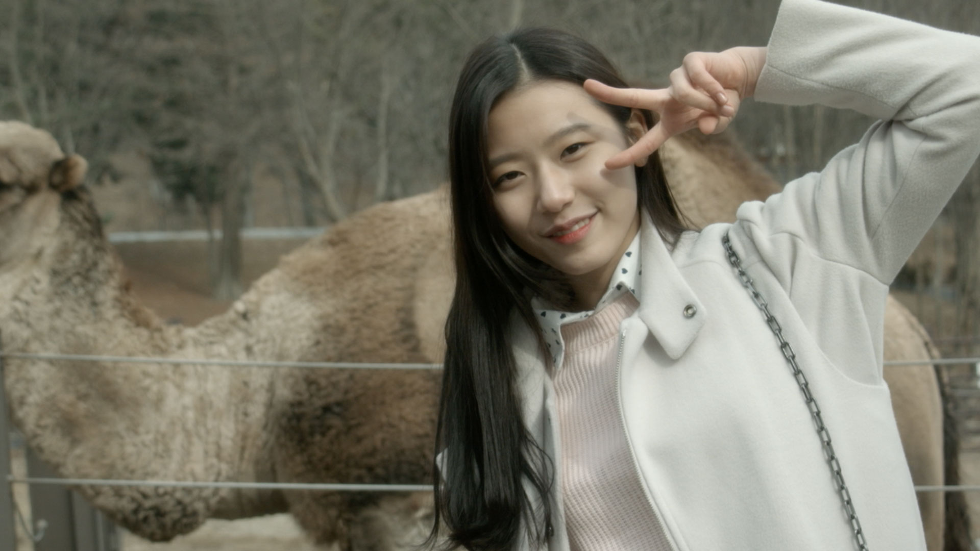 Watch Zoo | Prime Video