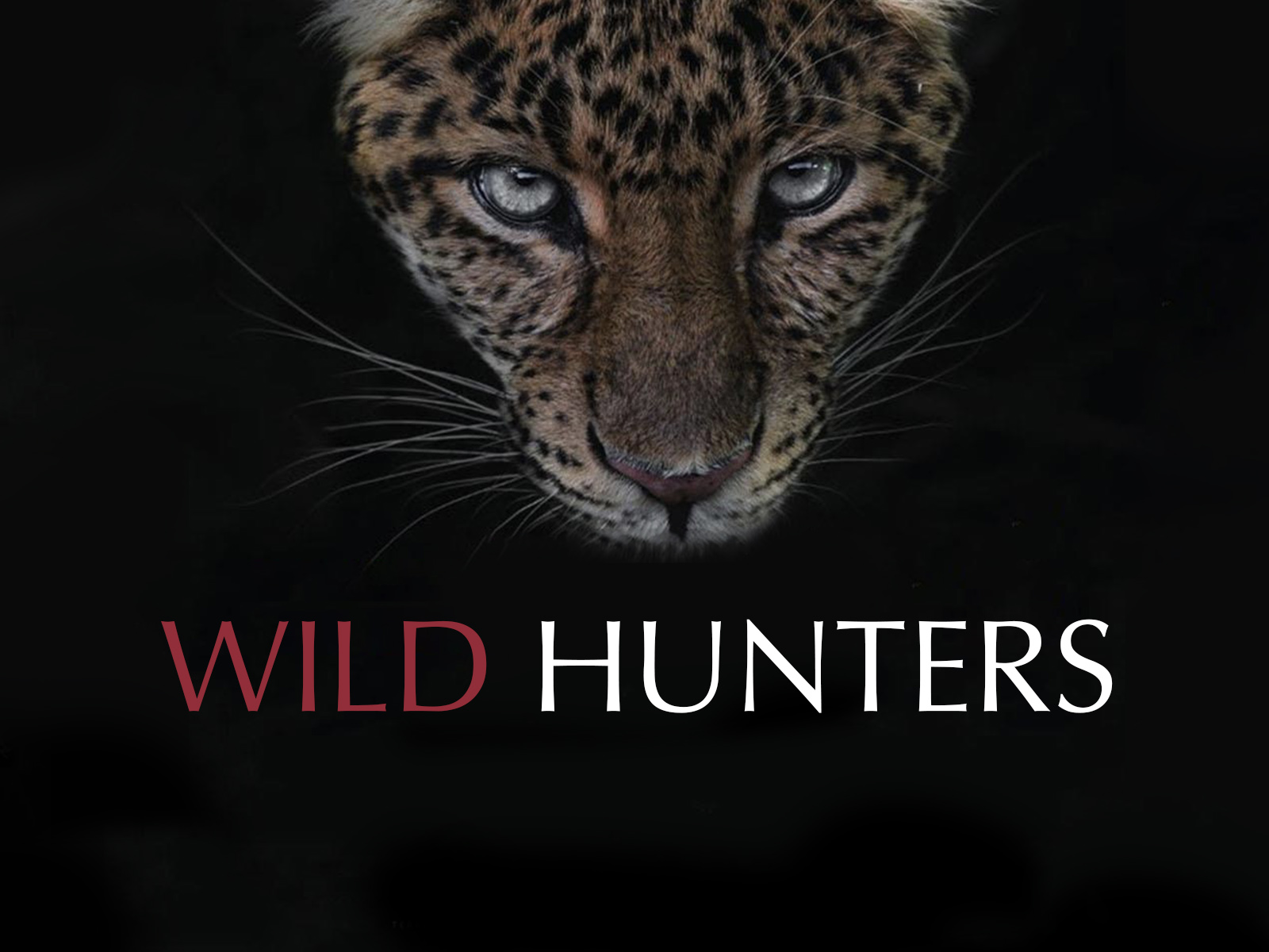Prime Video: Wild Hunters - Season 1