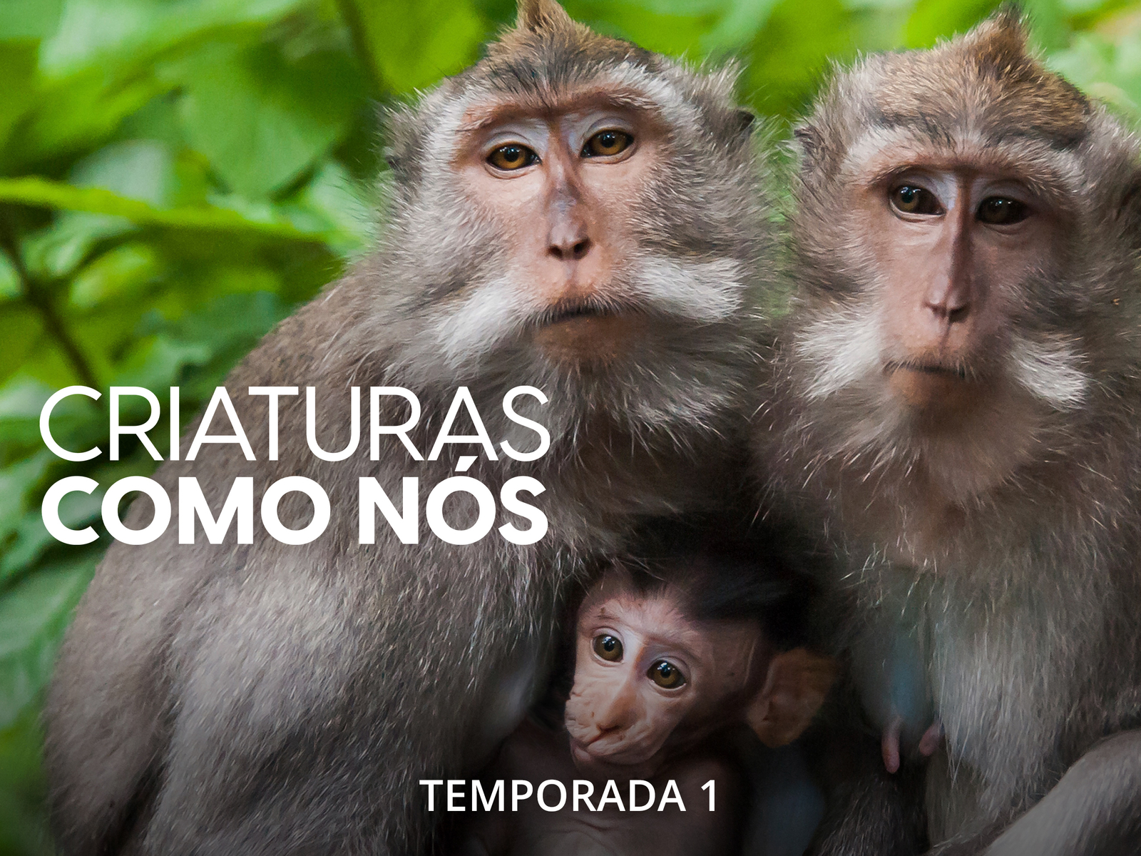 Prime Video: Creatures Like Us - Season 1