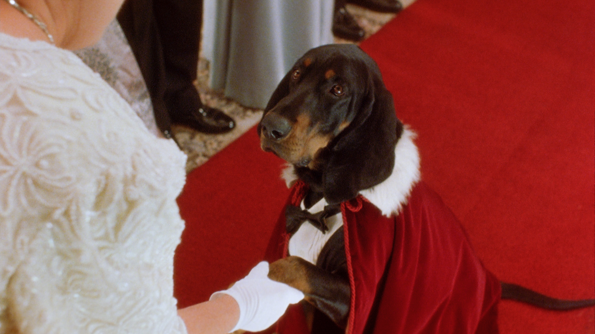 Watch The Duke | Prime Video