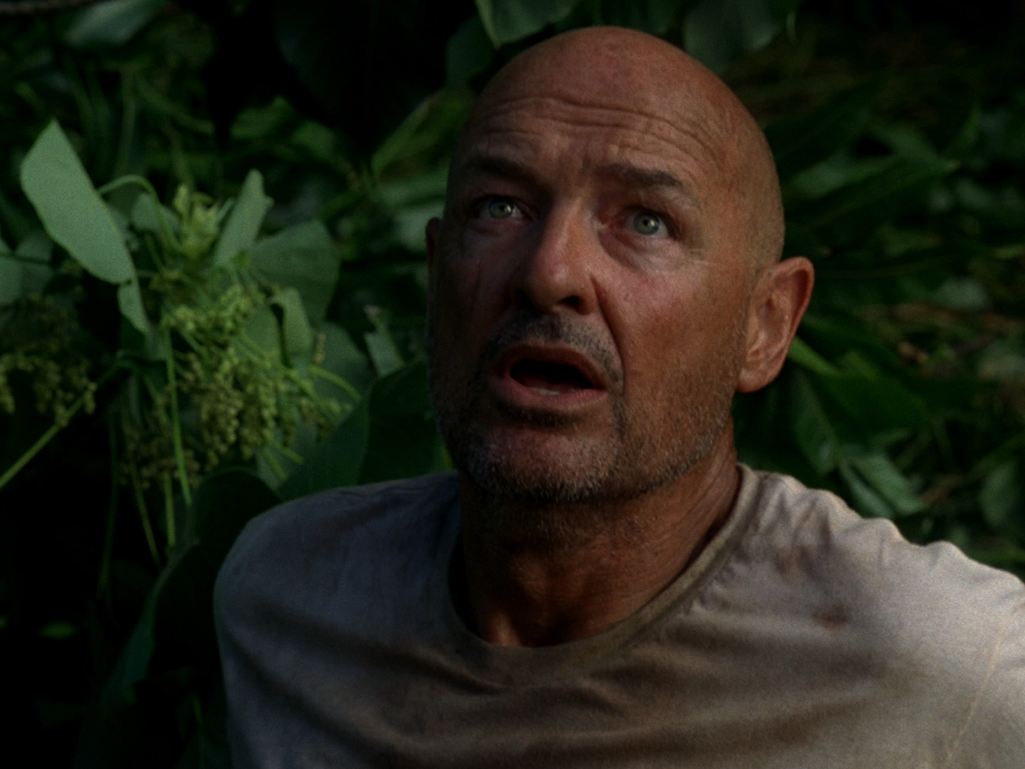 Prime Video: Lost Season 1