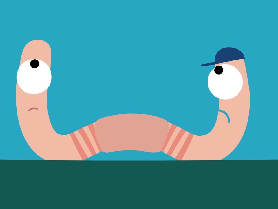 Prime Video: Animanimals - Season 1