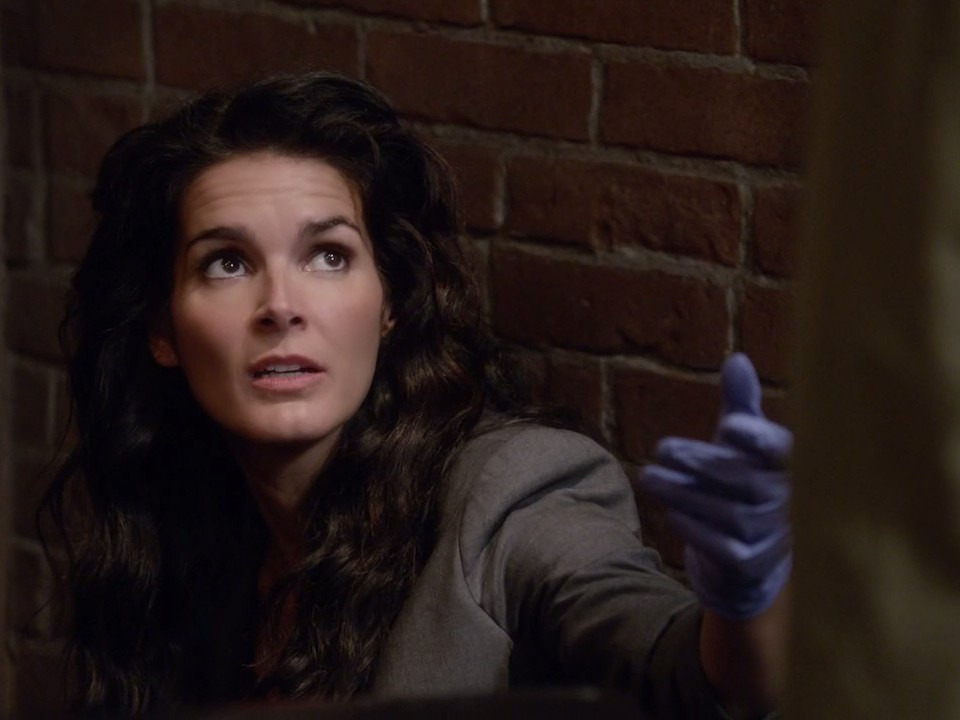 Prime Video: Rizzoli and Isles: The Complete Fifth Season