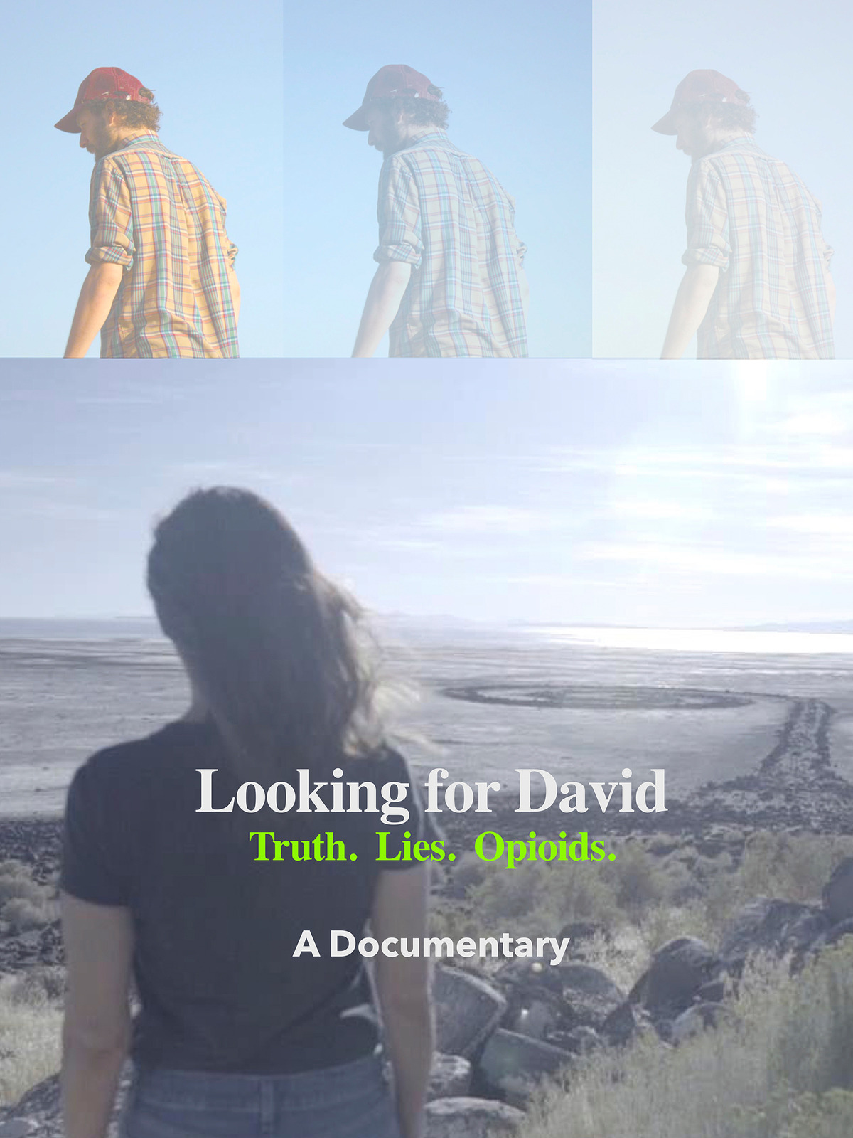 Prime Video: Looking For David