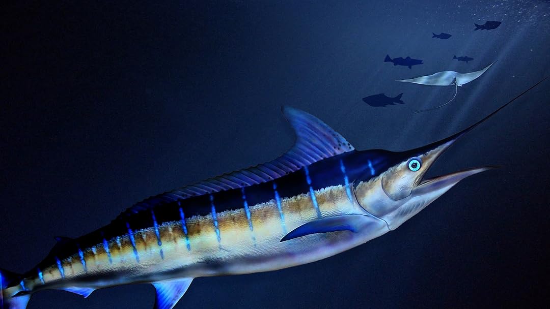 Prime Video: Superfish