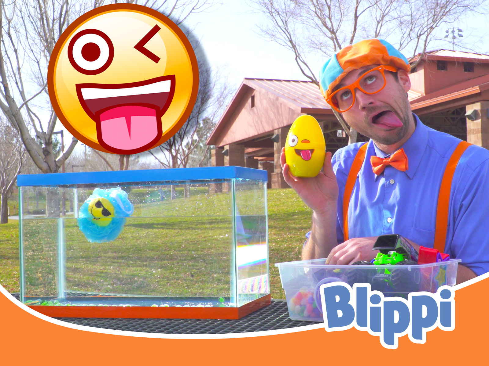 Prime Video: Blippi - Blippi's Educational Adventures for Kids