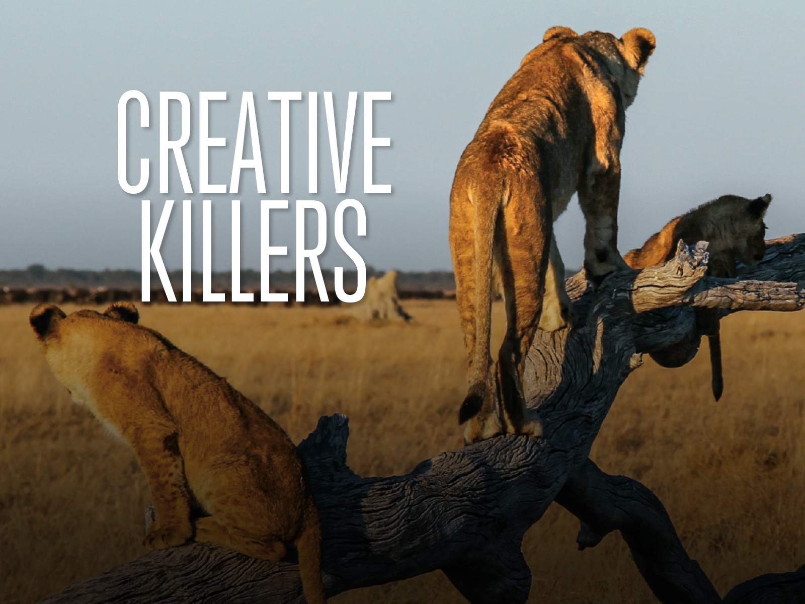 Prime Video: Creative Killers - Season 1