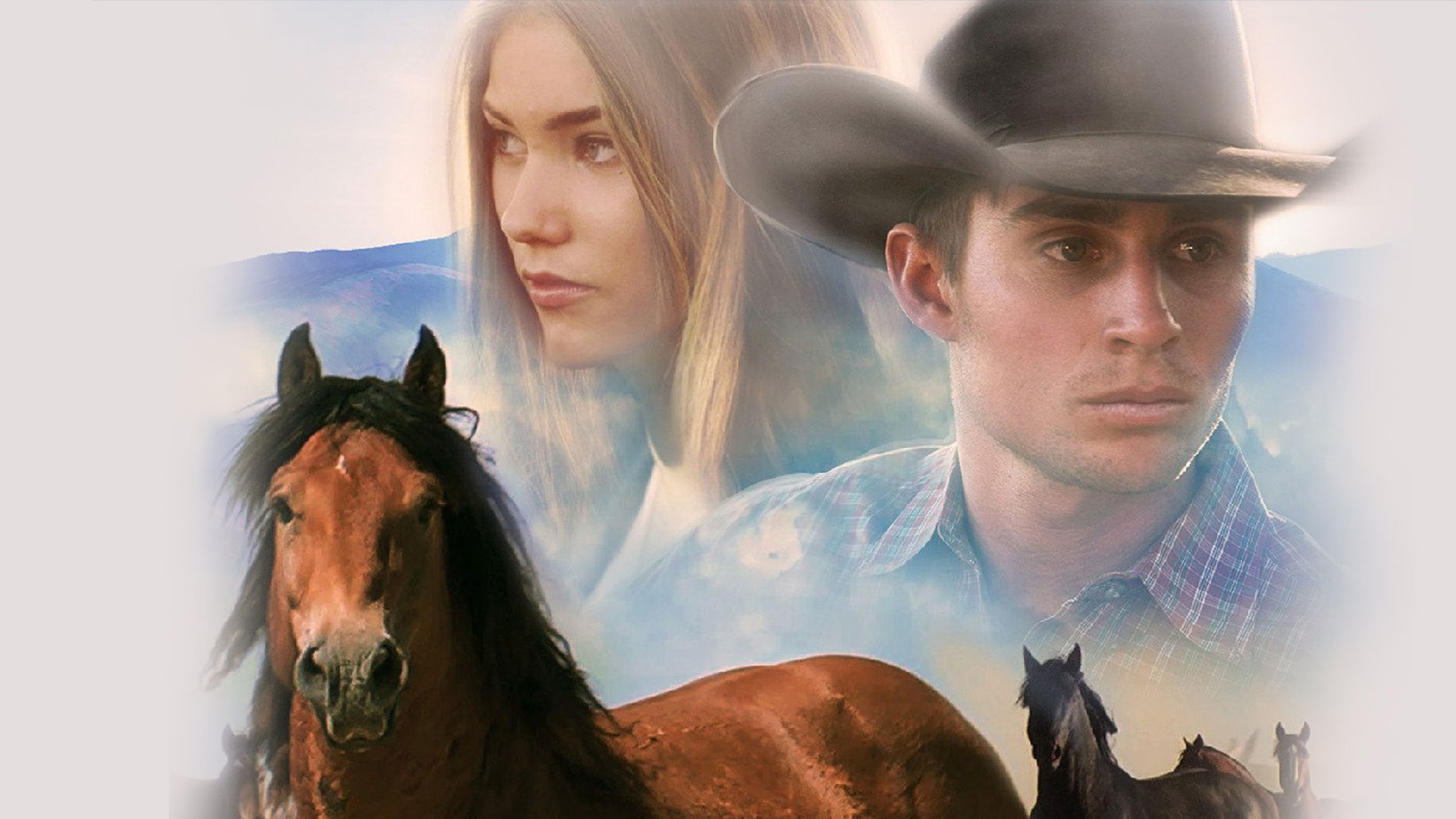 Amazon.de: Wild Mustang ansehen | Prime Video