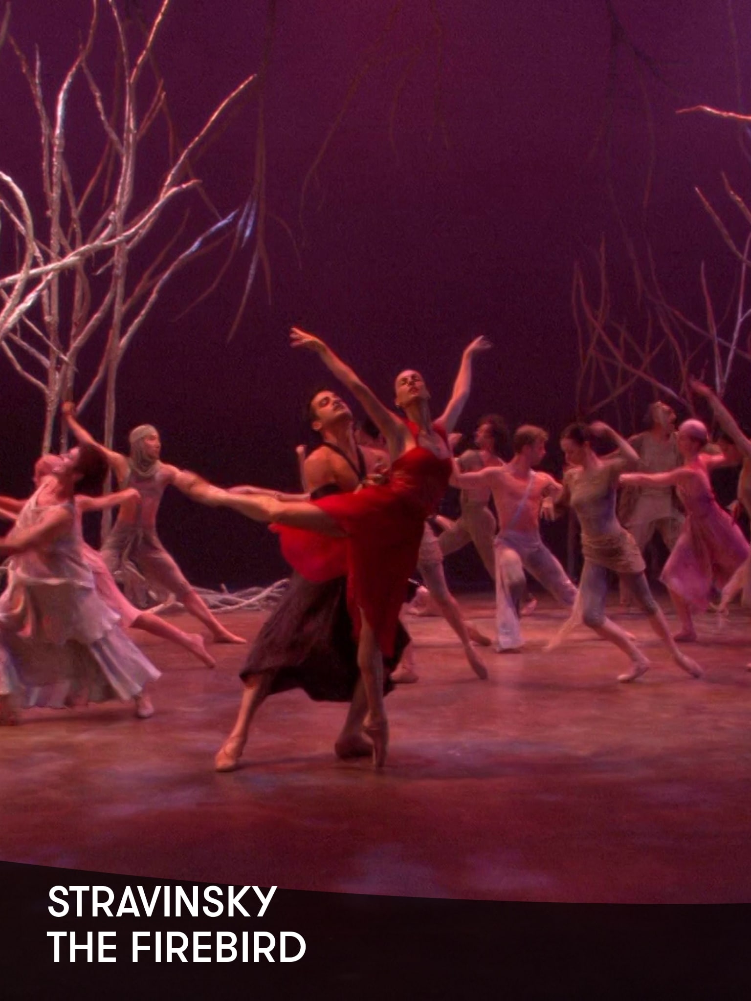 Prime Video: Stravinsky - The Firebird