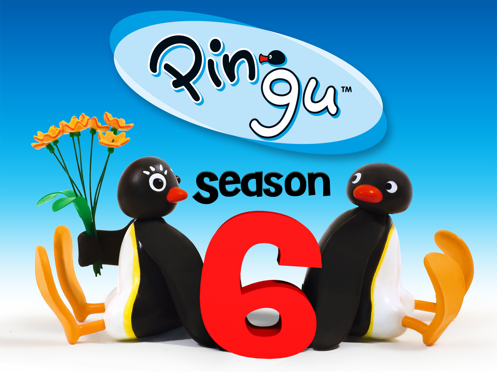 Prime Video: Pingu - Season 6