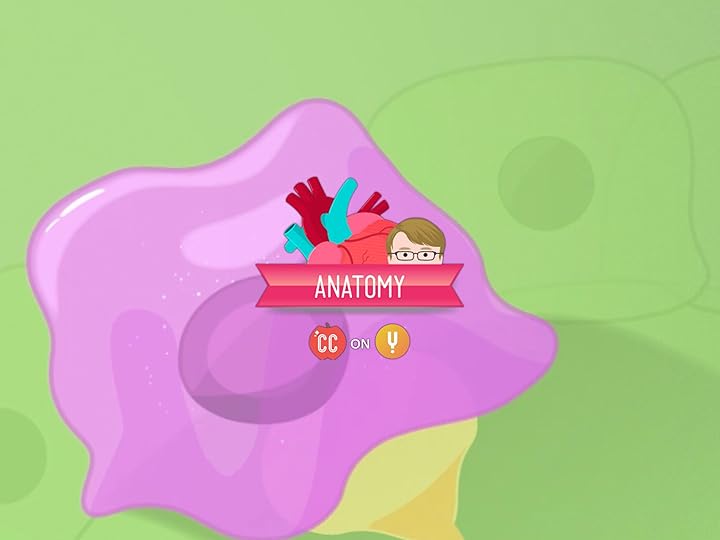Prime Video: Crash Course: Anatomy & Physiology - Season 1