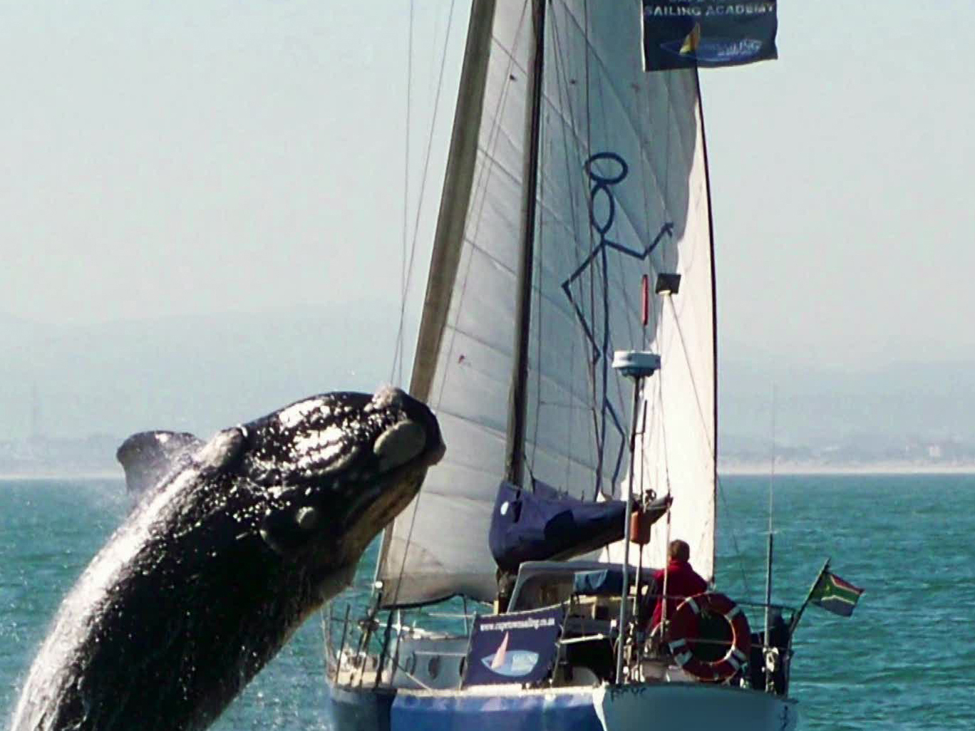 Prime Video: When Vacations Attack! - Season 1