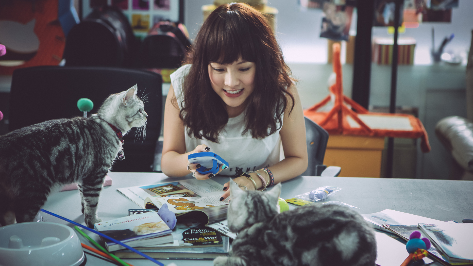 Prime Video: Cat A Wabb