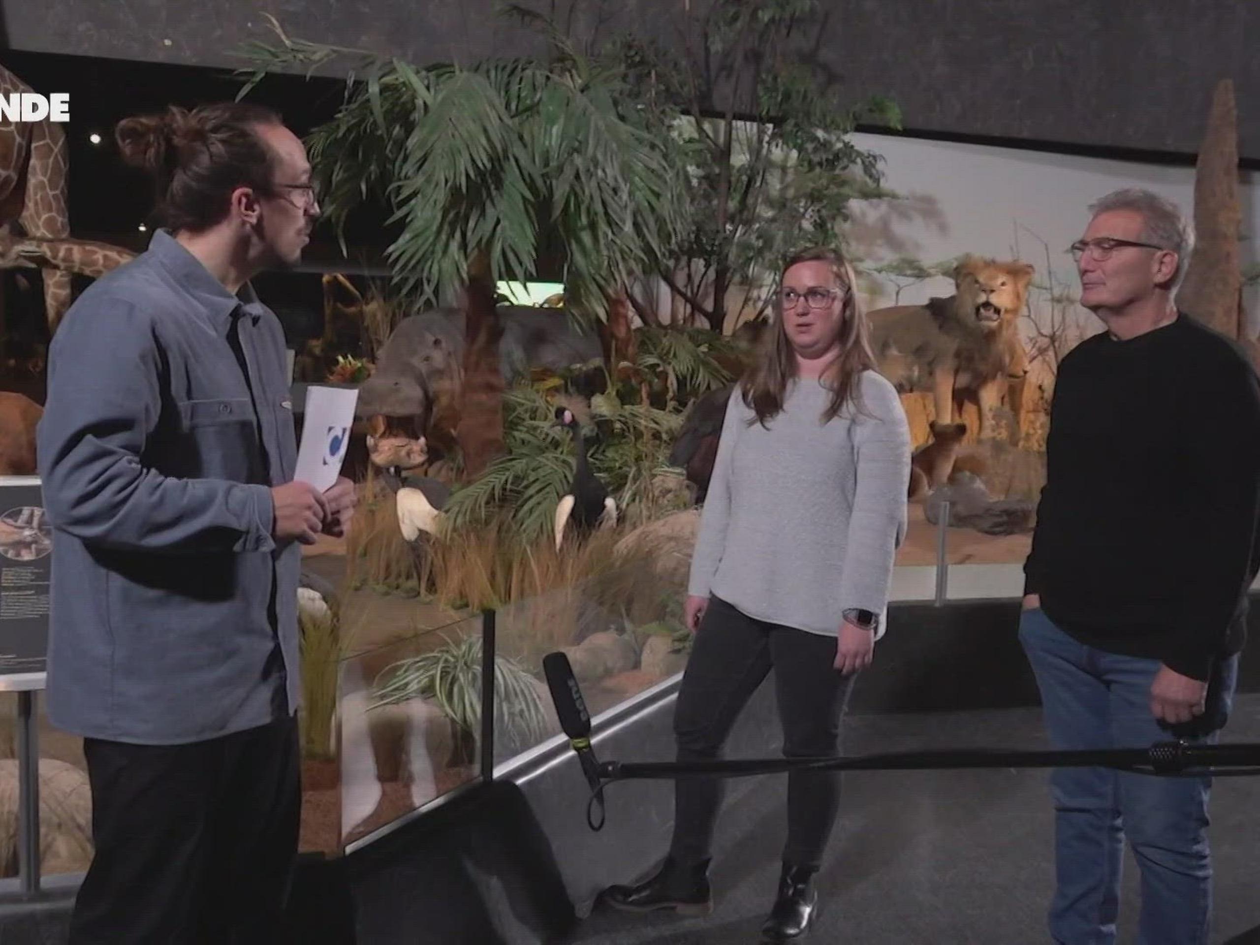 Prime Video: Cash - Saison 1