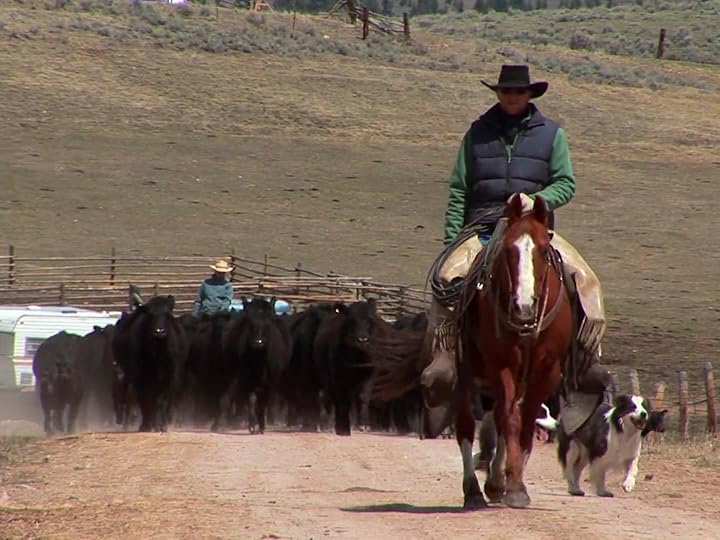 Prime Video: Last American Cowboy - Season 1