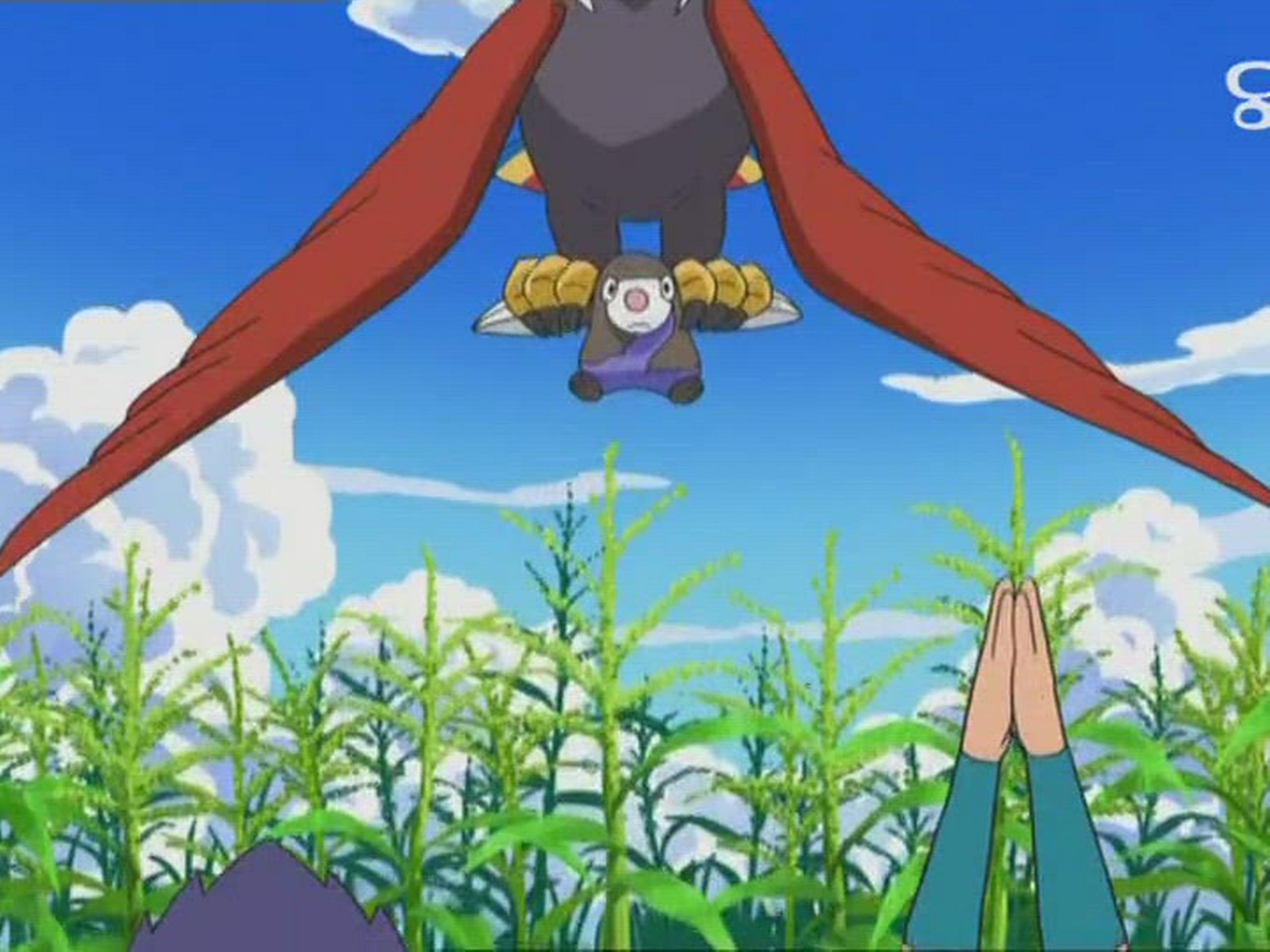 Prime Video: Pokémon - Saison 16