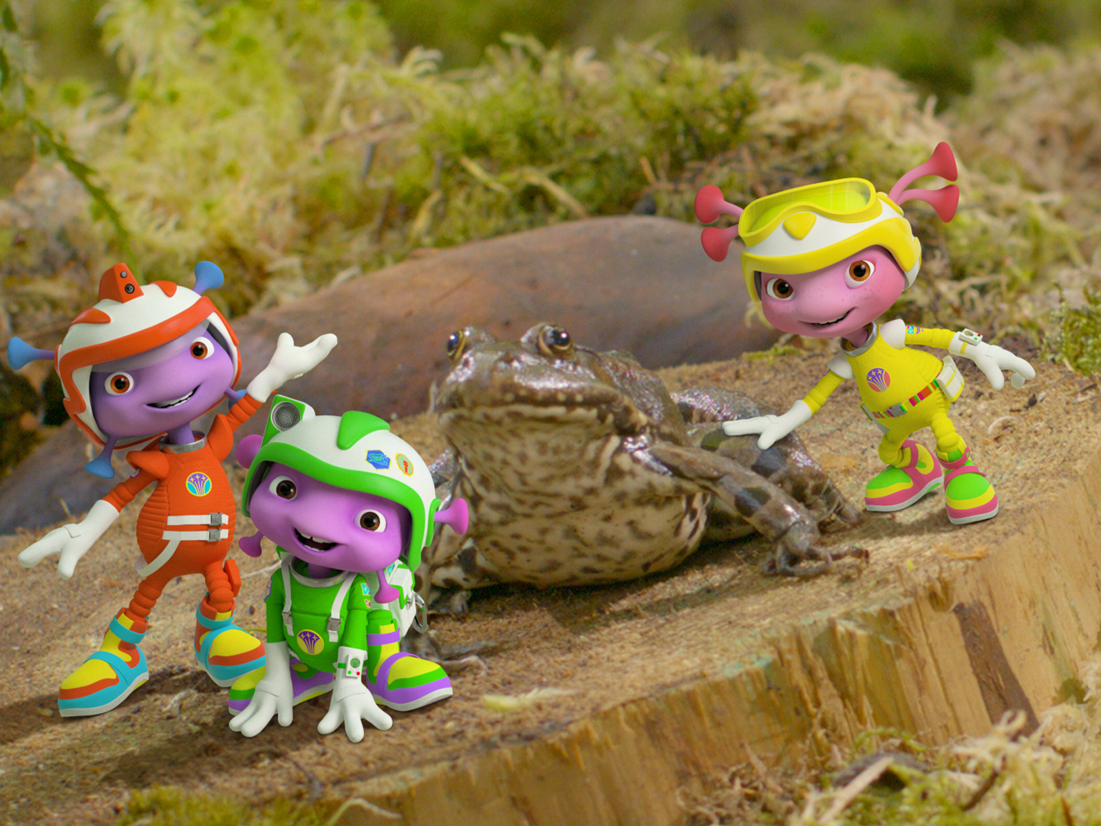 Prime Video: I Floogals