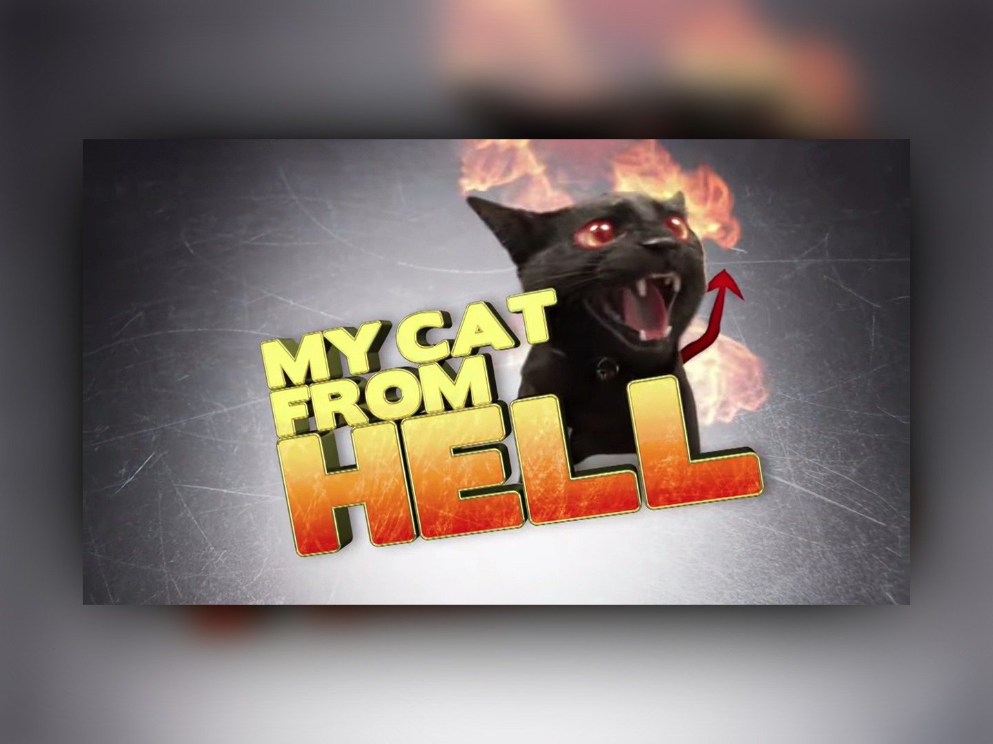 Prime Video: My Cat From Hell