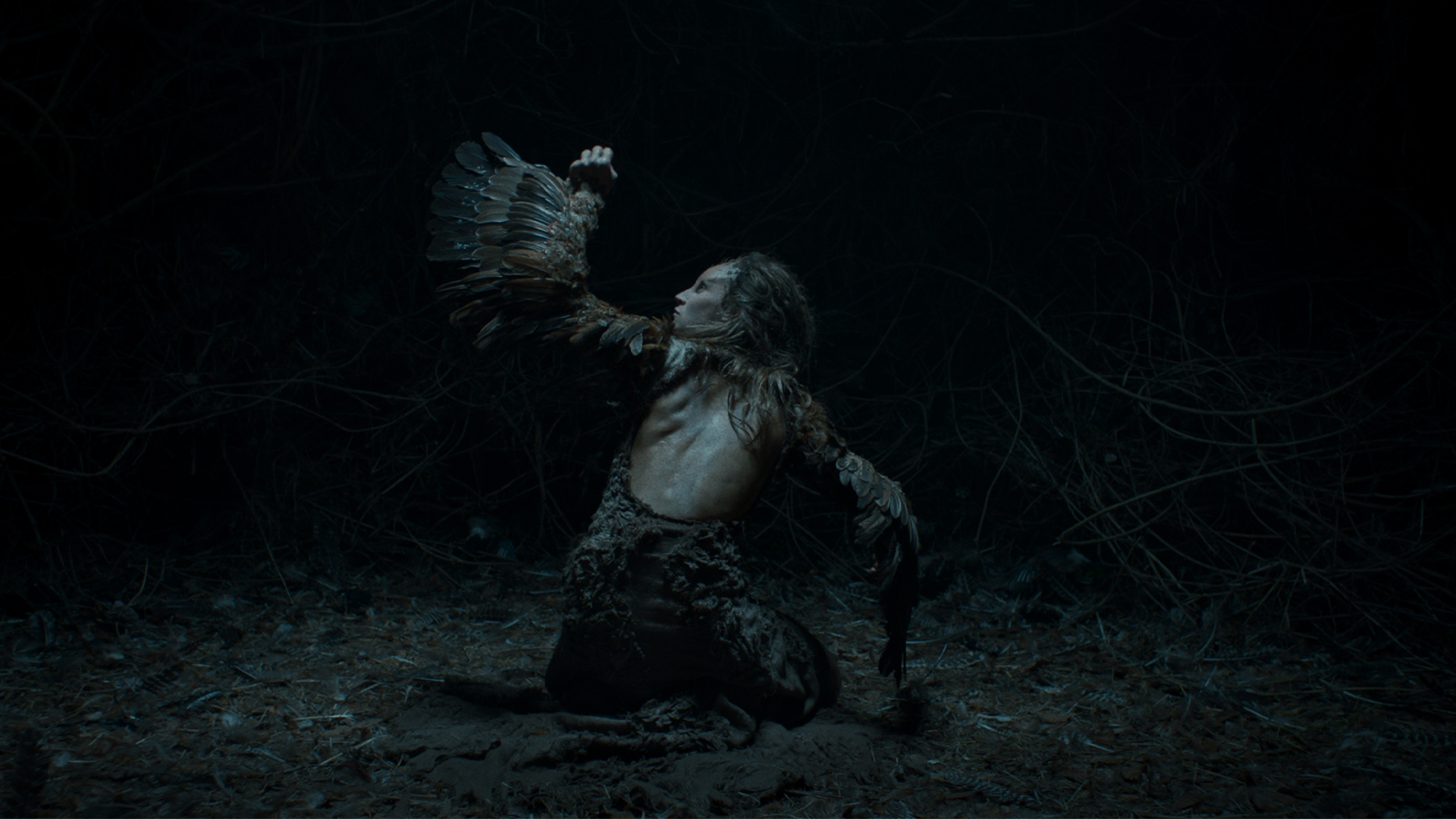 Watch Wild Witch | Prime Video