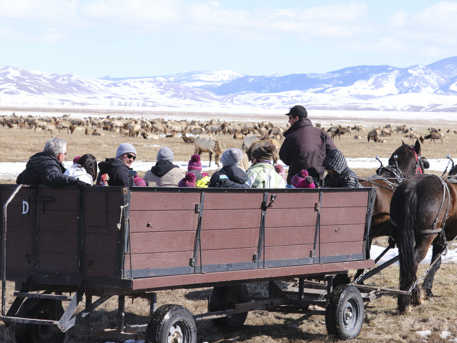 Prime Video: OutDaughtered - Season 7