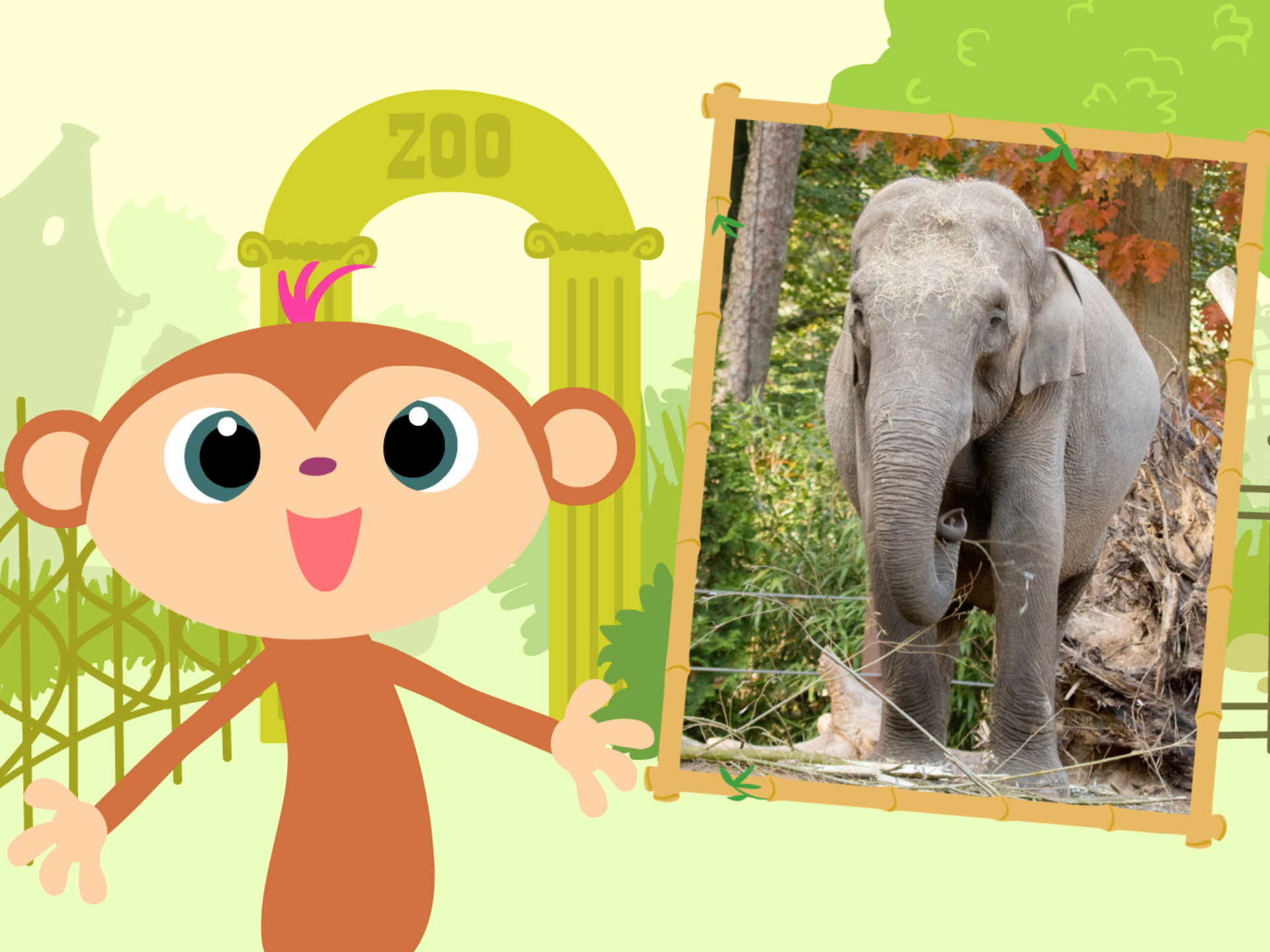 Prime Video: StoryZoo Adventures - Zoo