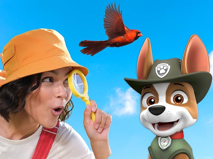 Prime Video: Troop Dragonfly Season 1