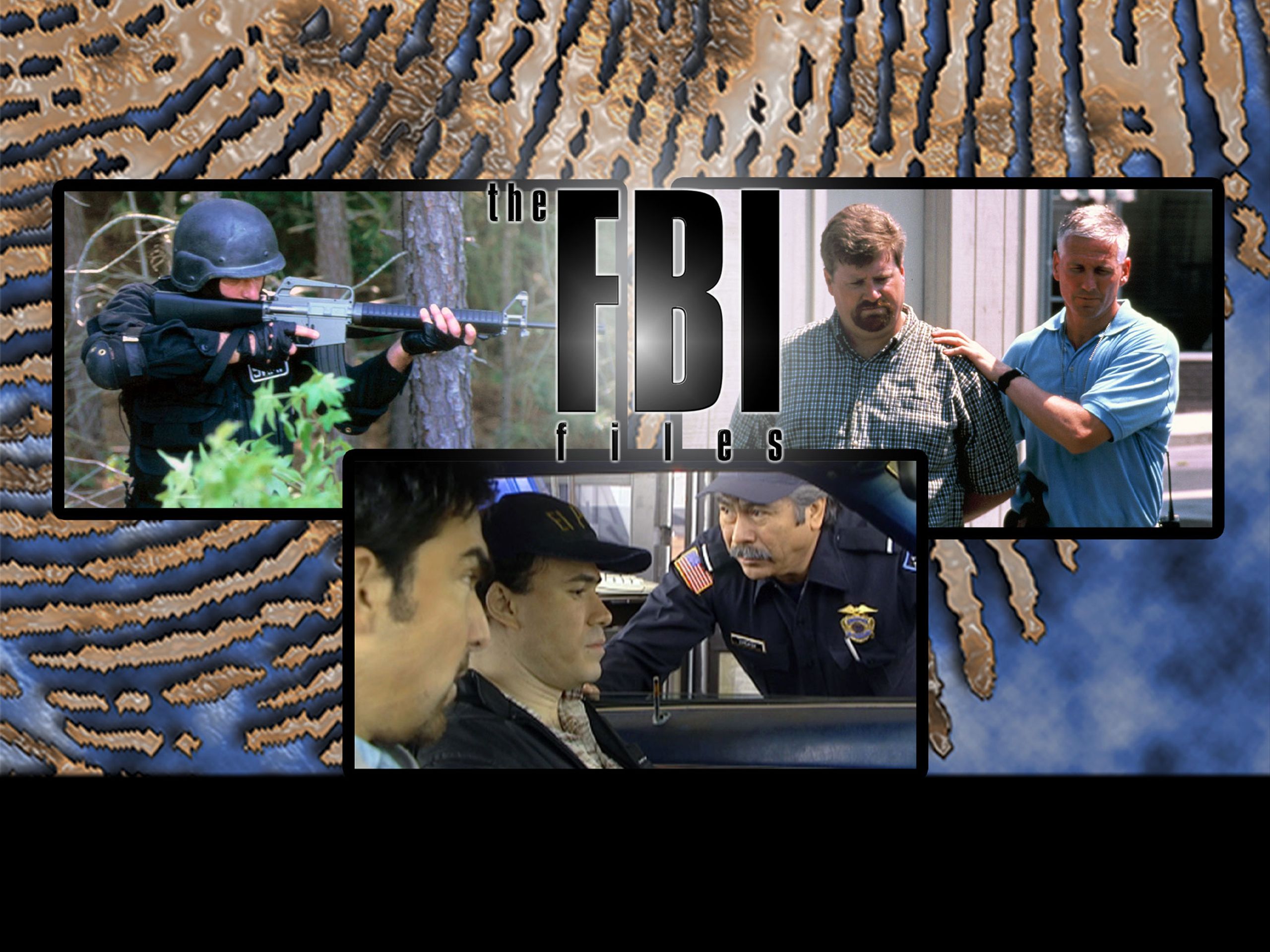 Prime Video: The FBI Files