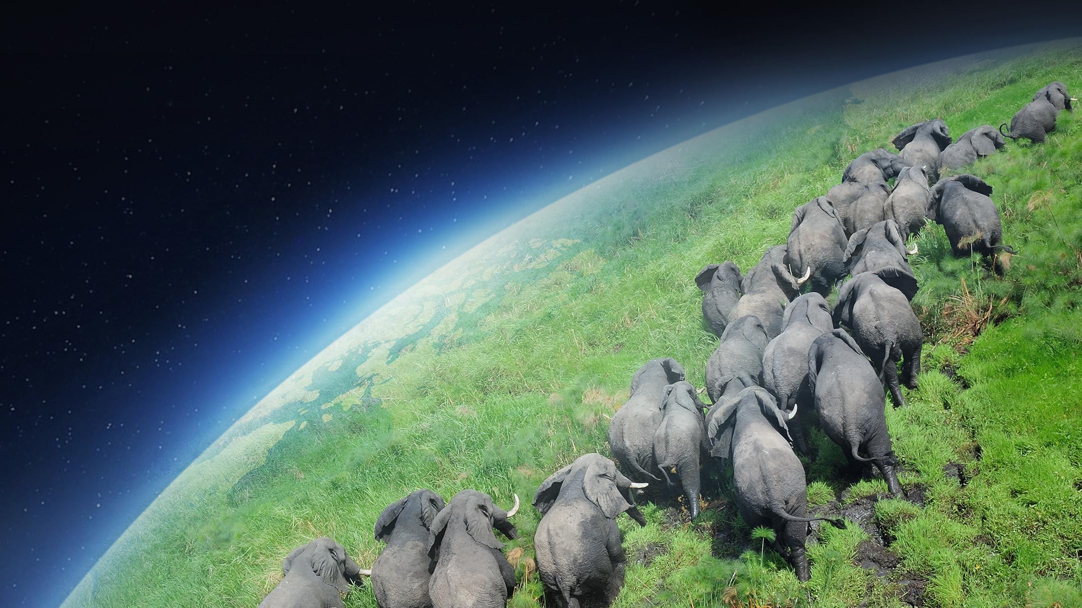 Prime Video: Planet Earth - Season 1