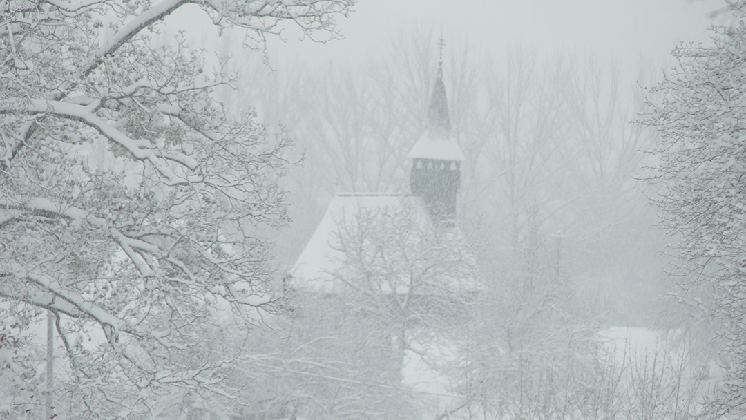 Prime Video: The Devil Complex