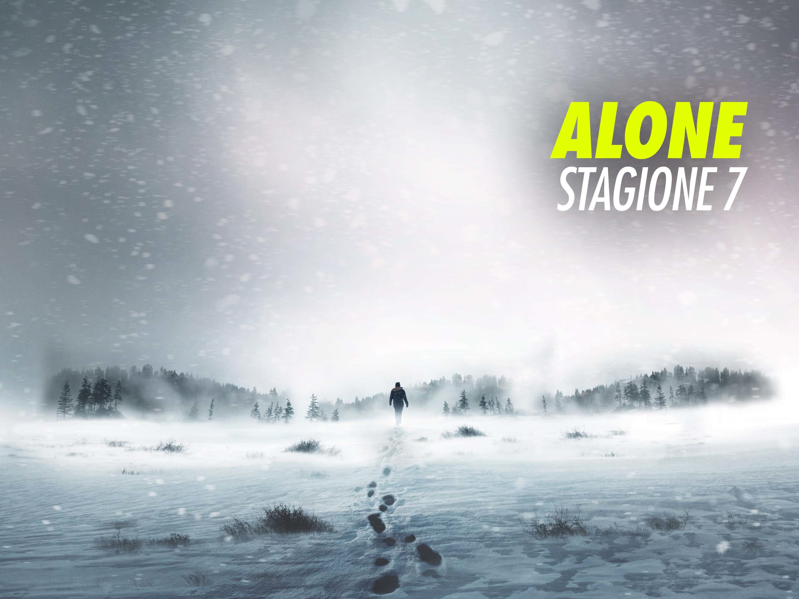 Prime Video: Alone S7