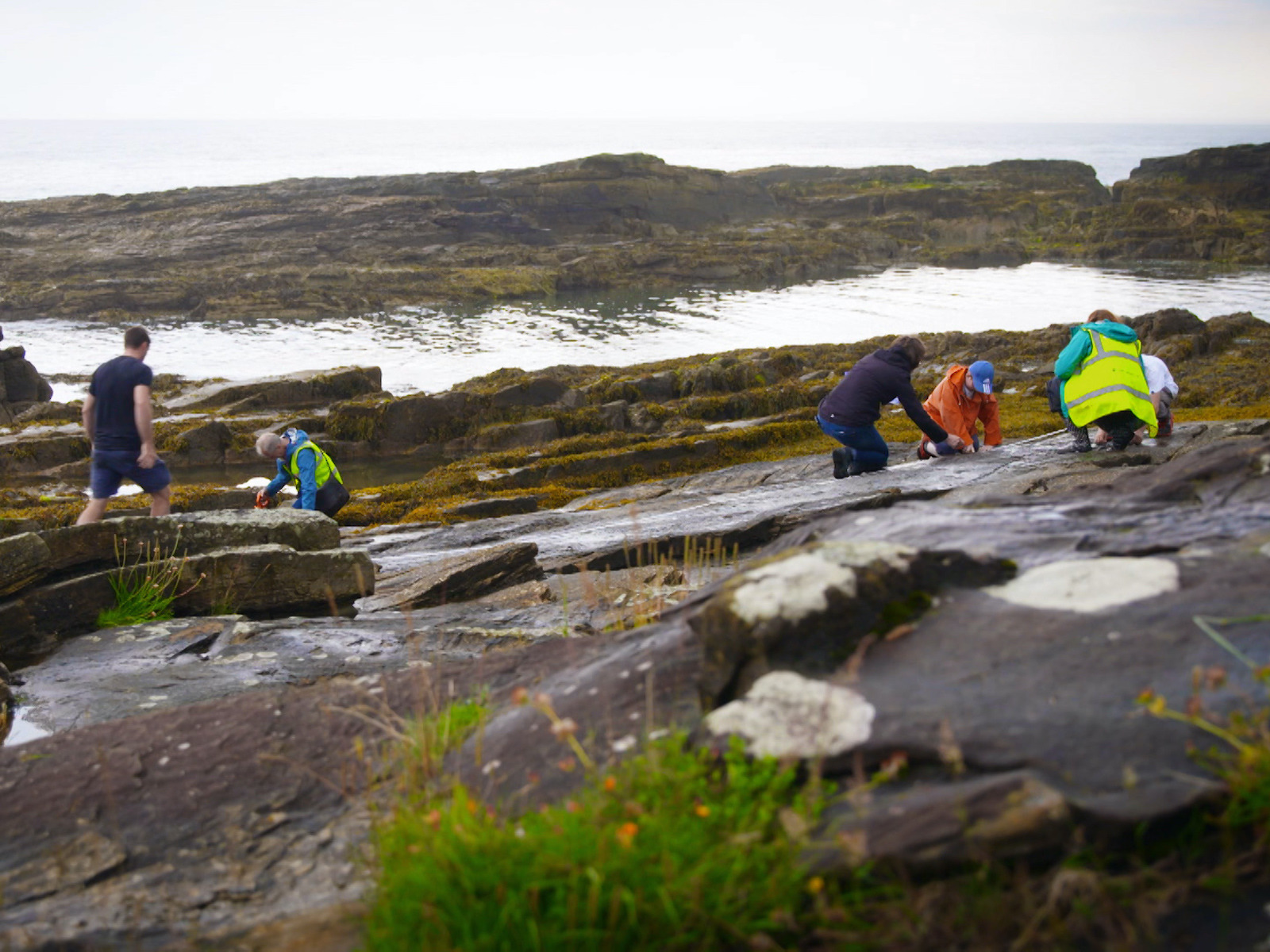 Prime Video: Shoreline Detectives: Ancient Ships, Forts, and Villages