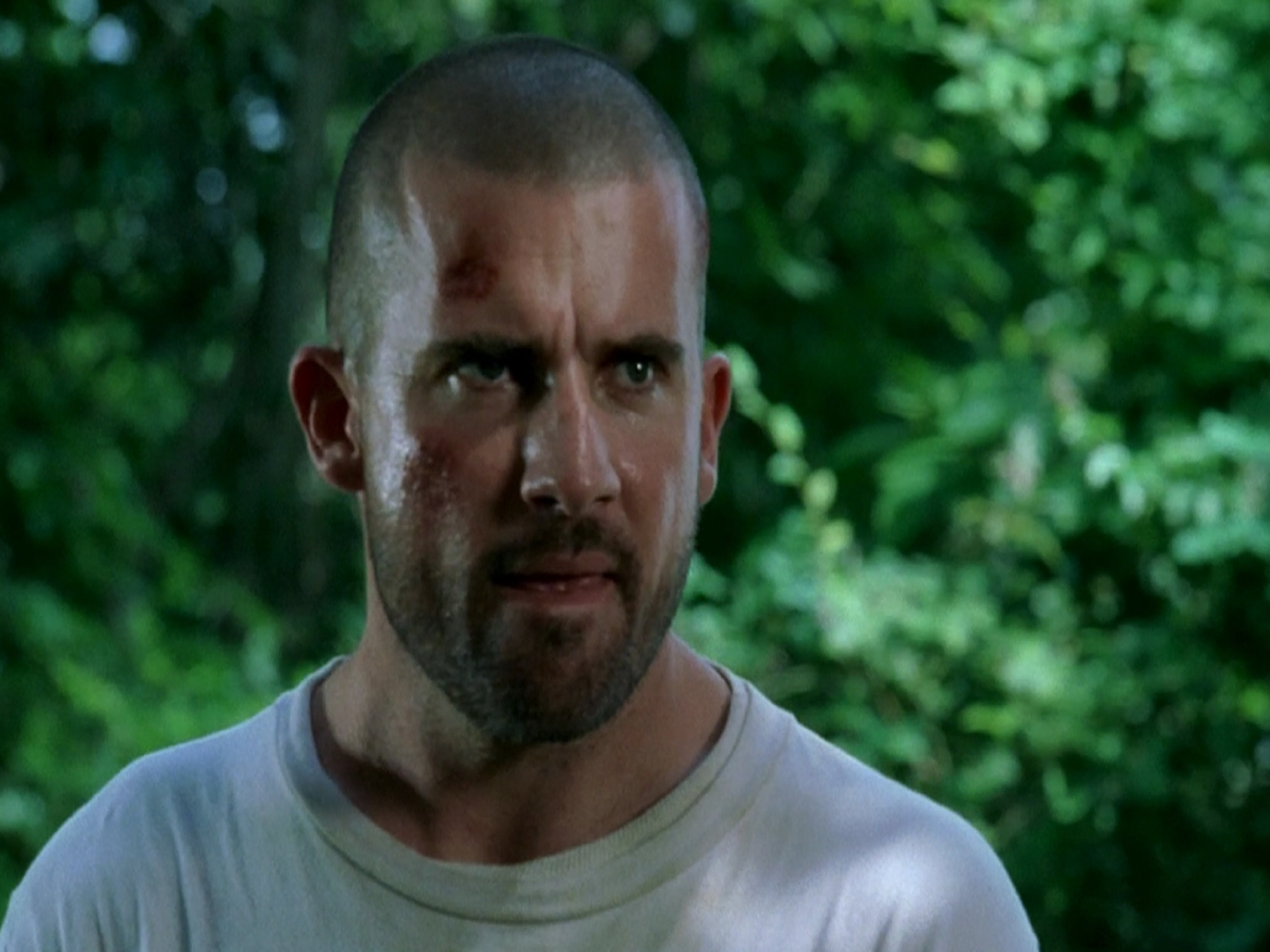 Prime Video: Prison Break Season 2