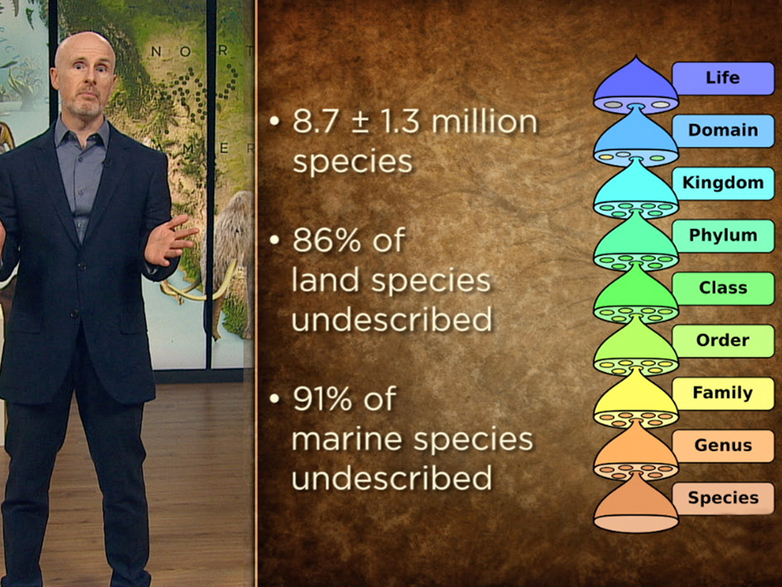 Prime Video: Introduction to Paleontology