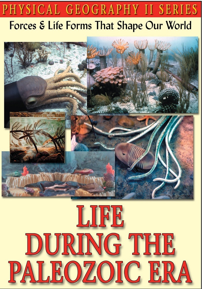 Paleozoic Life