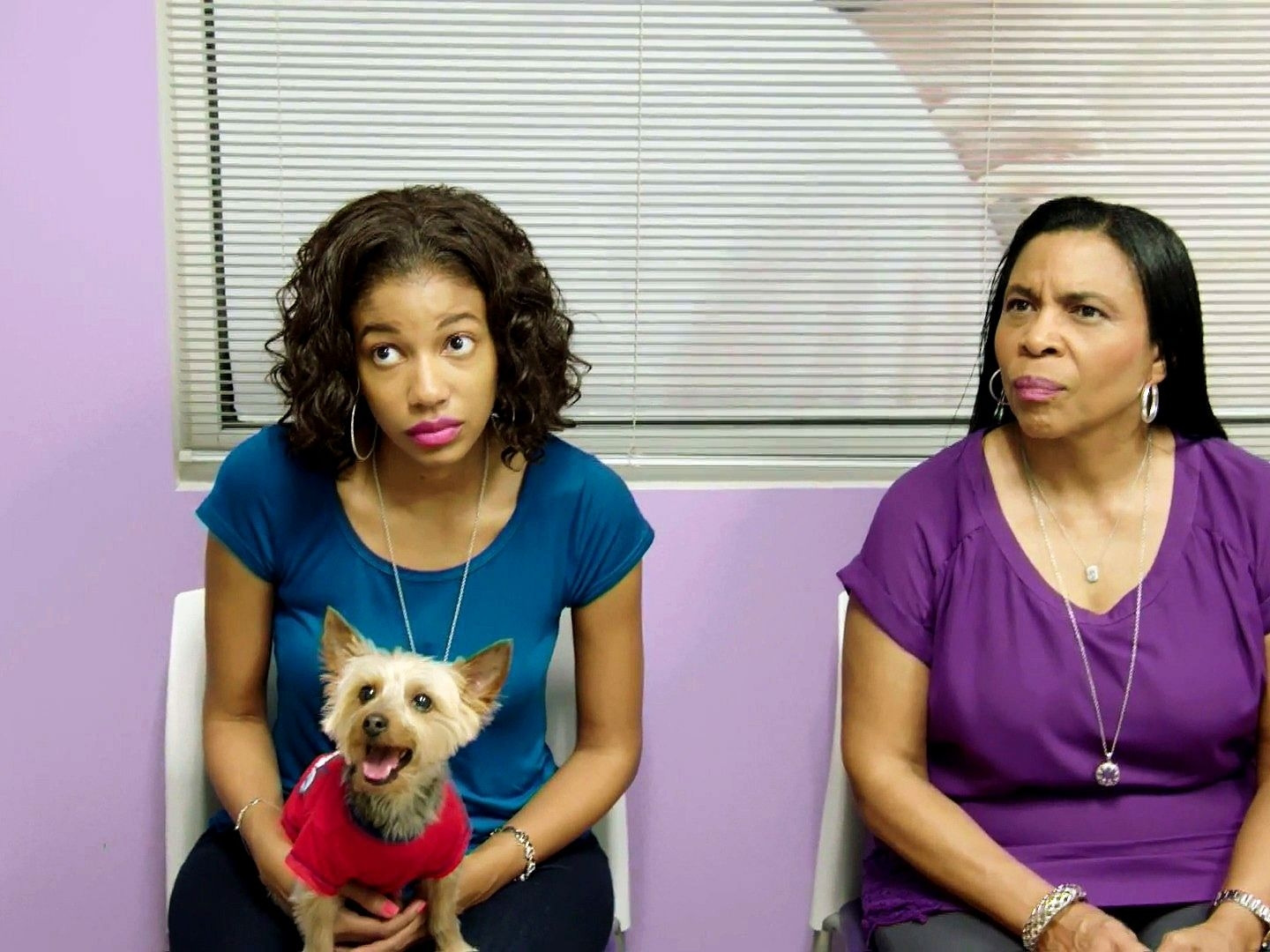 Prime Video: The Vet Life - Season 2