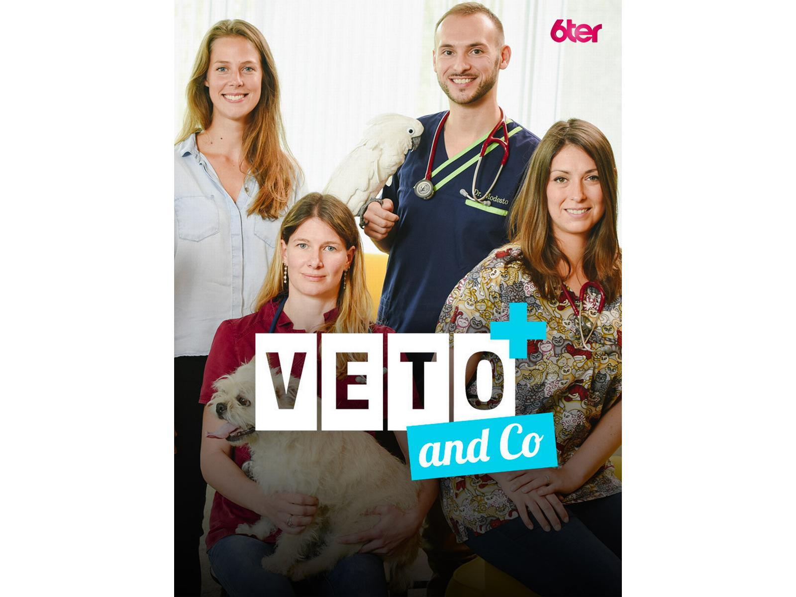 Prime Video: Véto & Co - Saison 6