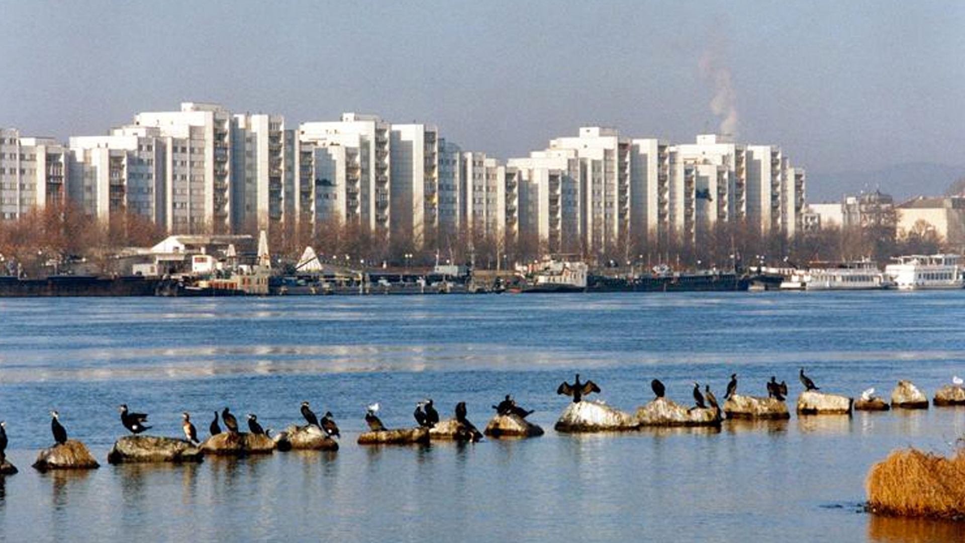 Prime Video: The Isle