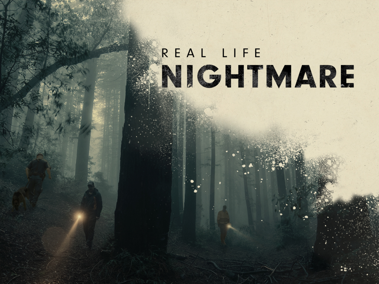 Prime Video: Real Life Nightmare - Season 2