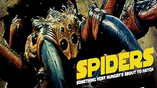 Spiders 2000